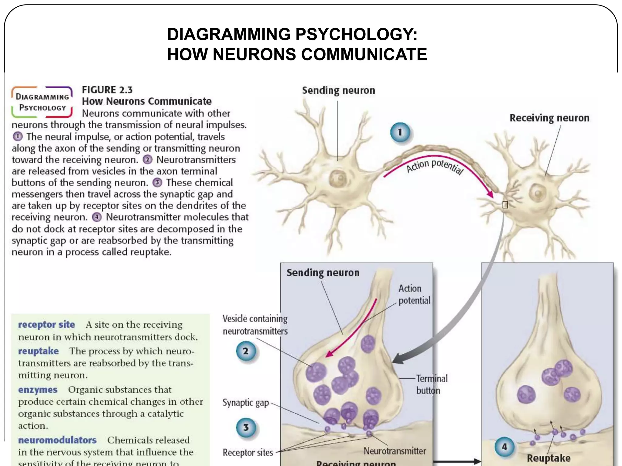 The Four E's of Effective Learning: Teaching Tips for Helping Students ...