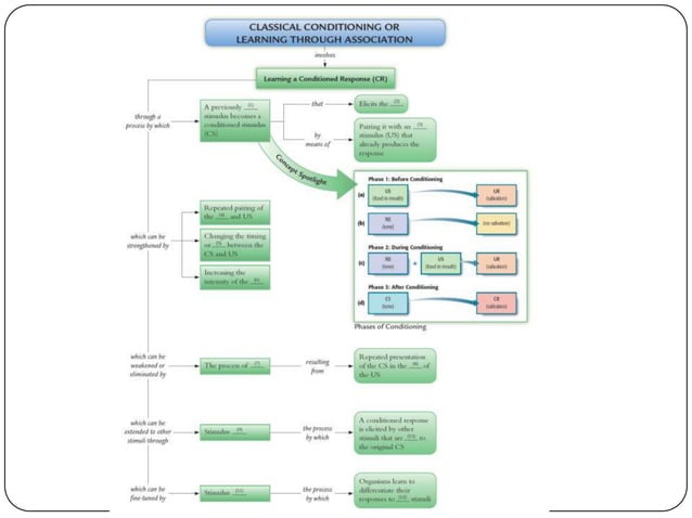 The Four E's of Effective Learning: Teaching Tips for Helping Students ...
