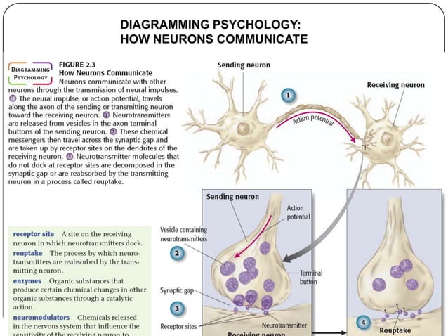 The Four E's of Effective Learning: Teaching Tips for Helping Students ...