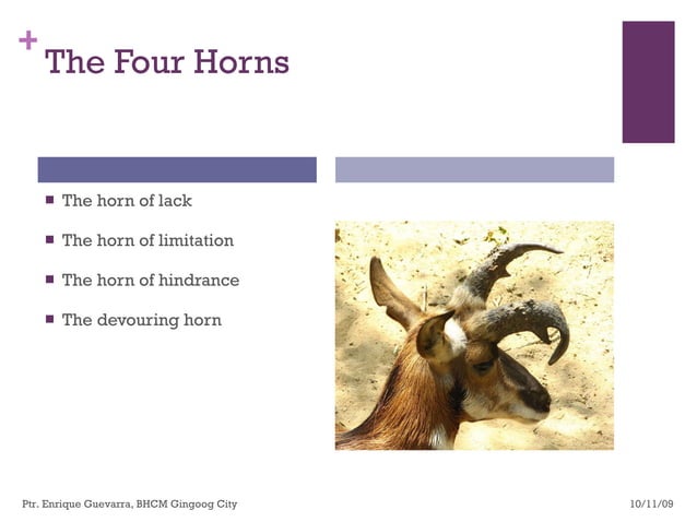 Four Horns | PPT