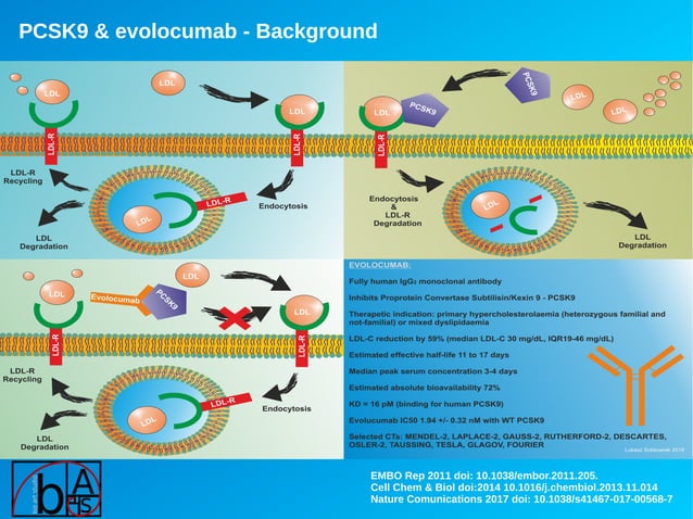 FOURIER Clinical Trial - Evolocumab and Clinical Outcomes in Patients ...