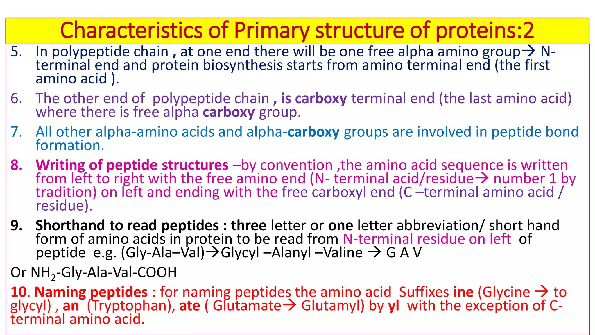 Four levels of protein structure | PDF