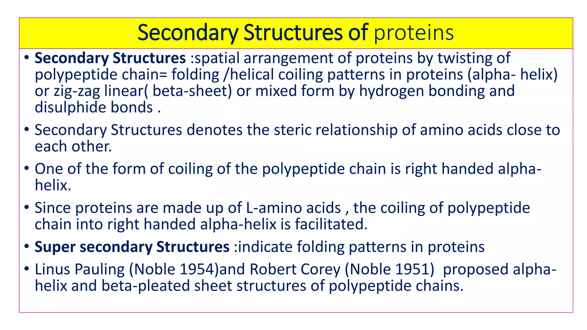 Four levels of protein structure | PDF
