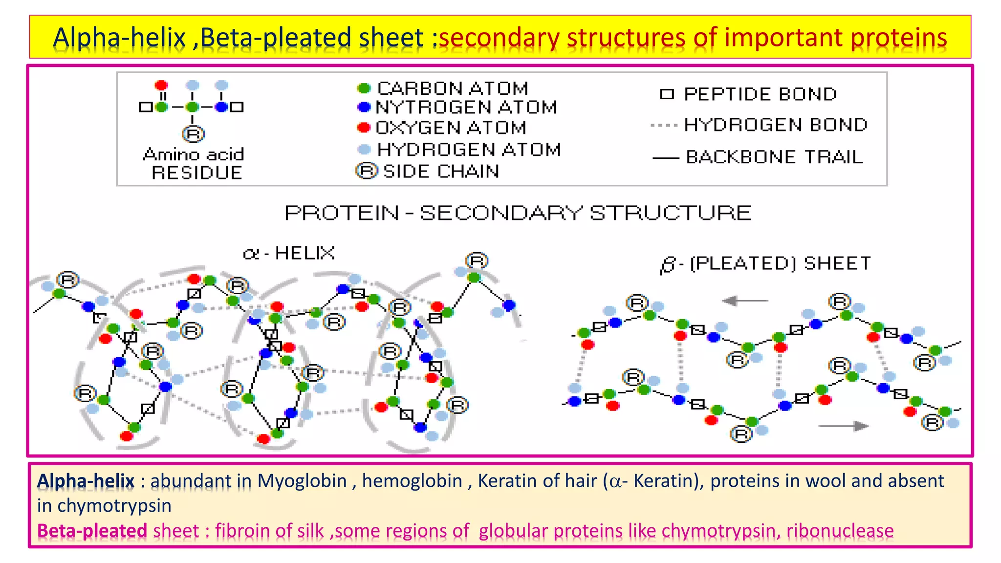 Four levels of protein structure | PDF