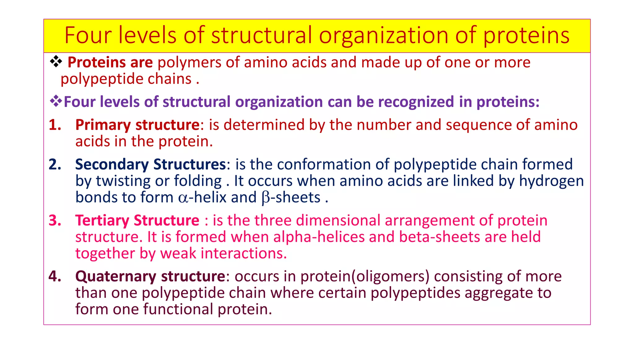Four levels of protein structure | PDF