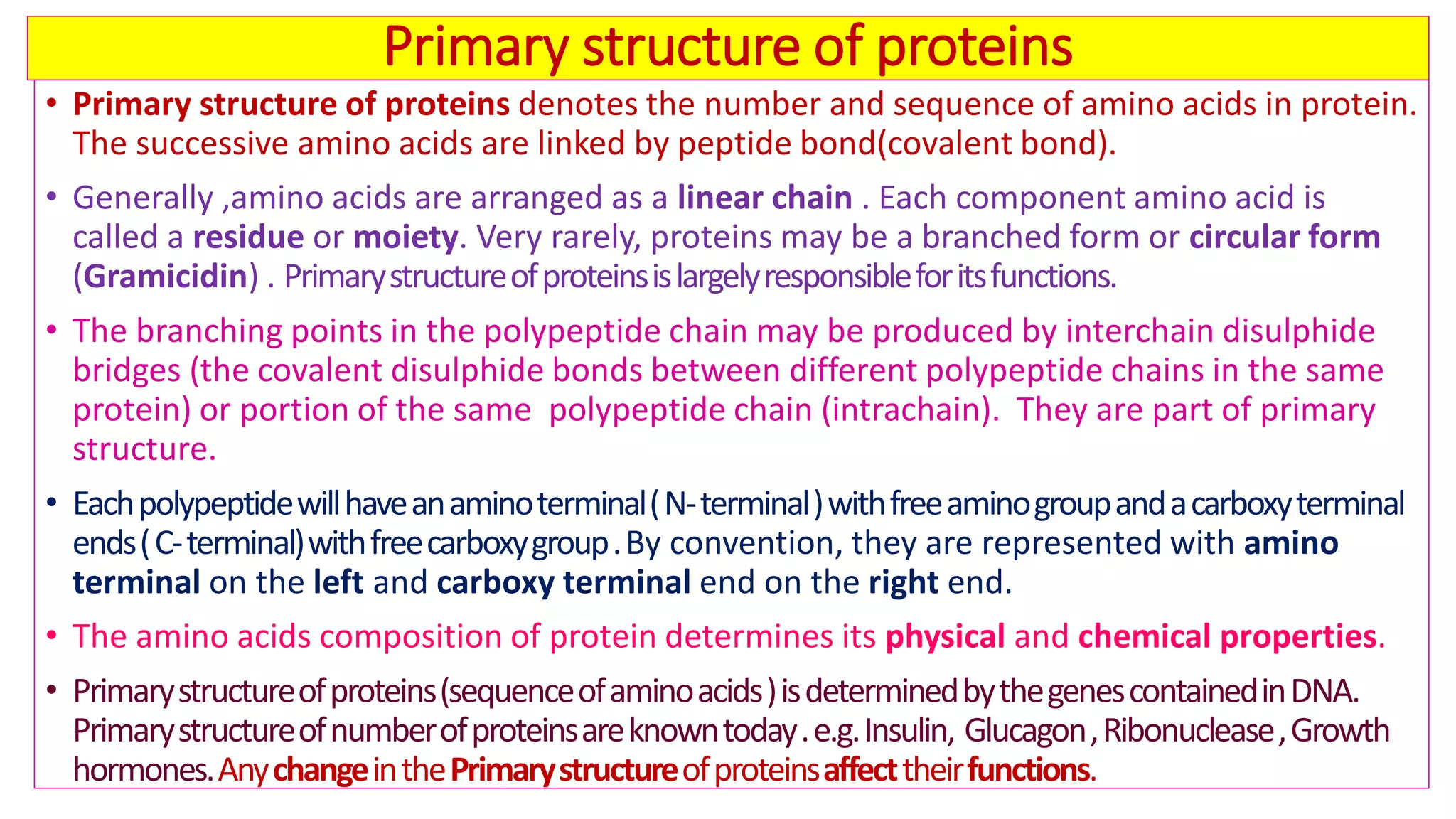 Four levels of protein structure | PDF