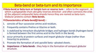 Four levels of protein structure | PDF
