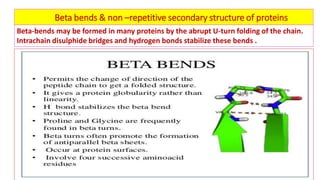 Four levels of protein structure | PDF