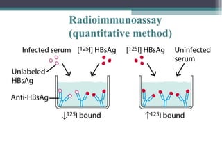 Four major immunologic methods | PPT