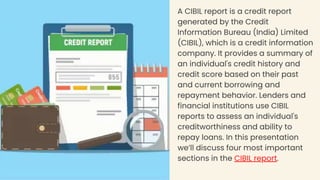 CIBIL Report Decoded: Most Important Elements | PDF