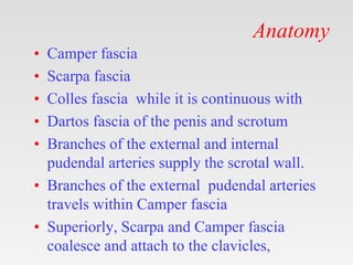 Fournier Gangrene.pptx