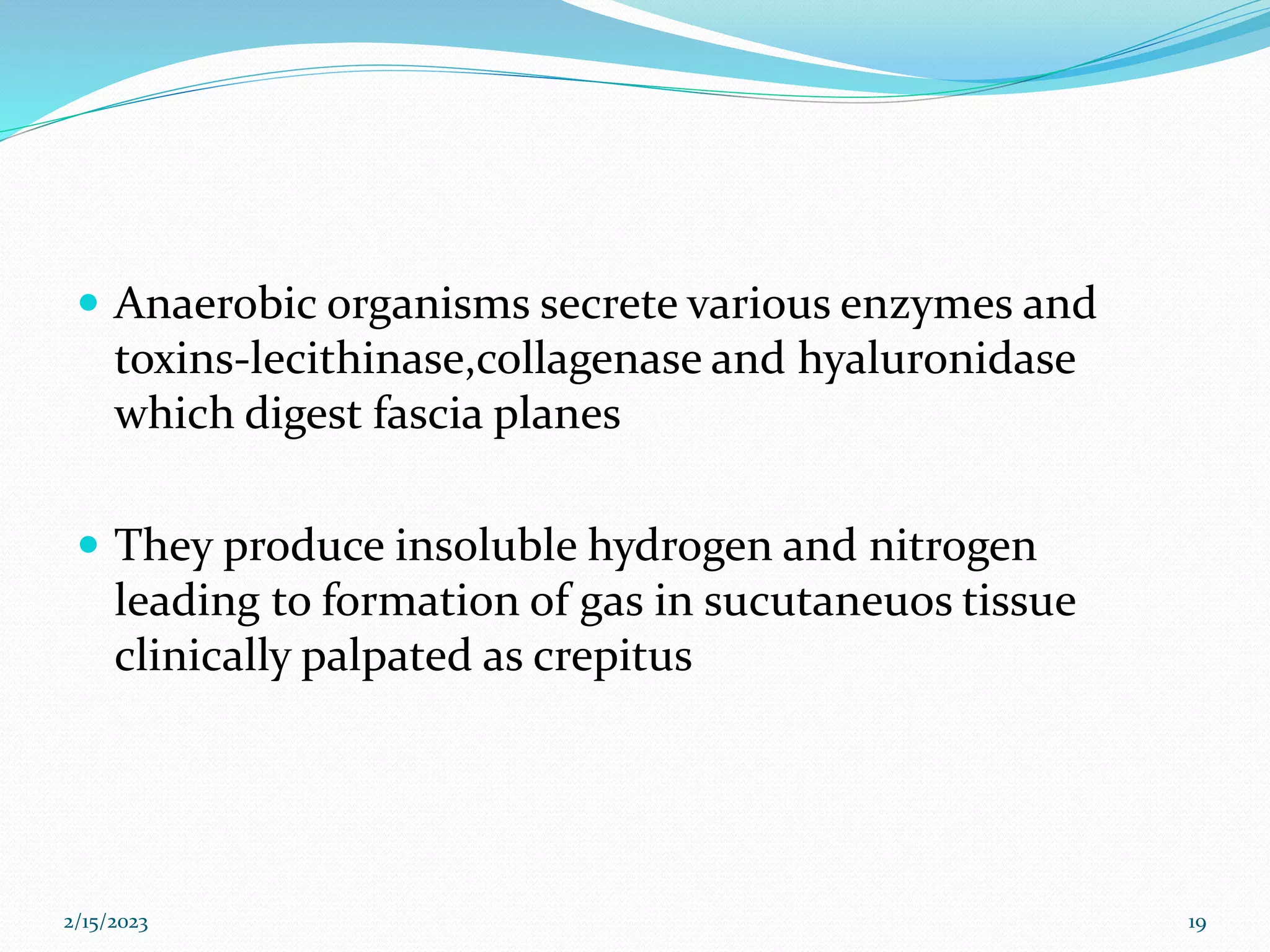 FOURNIER'S GANGRENE.pptx