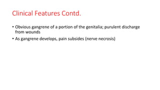 FOURNIER’S GANGRENE.pptx