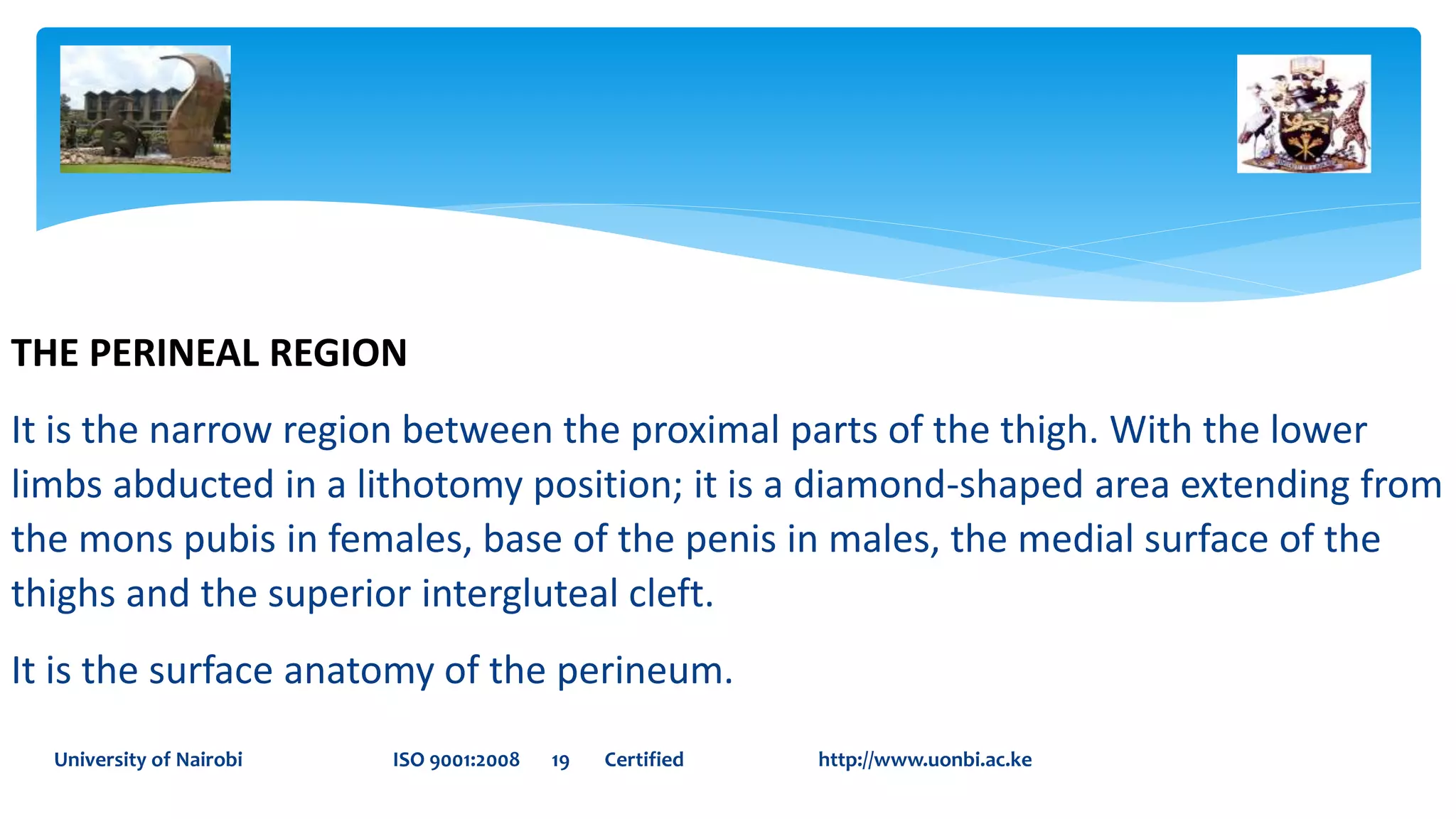 FOURNIERS GANGRENE .ppt