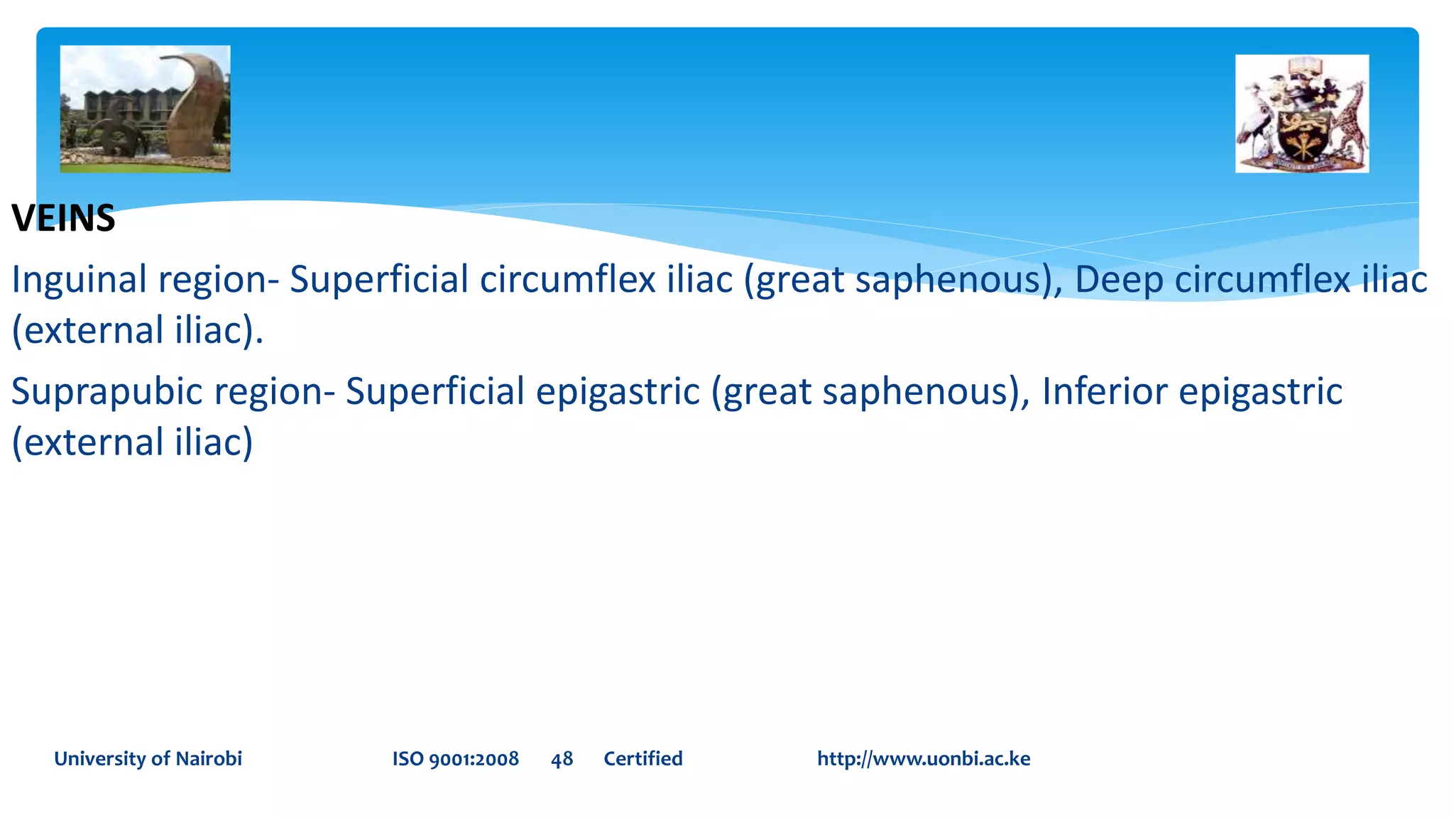 FOURNIERS GANGRENE .ppt