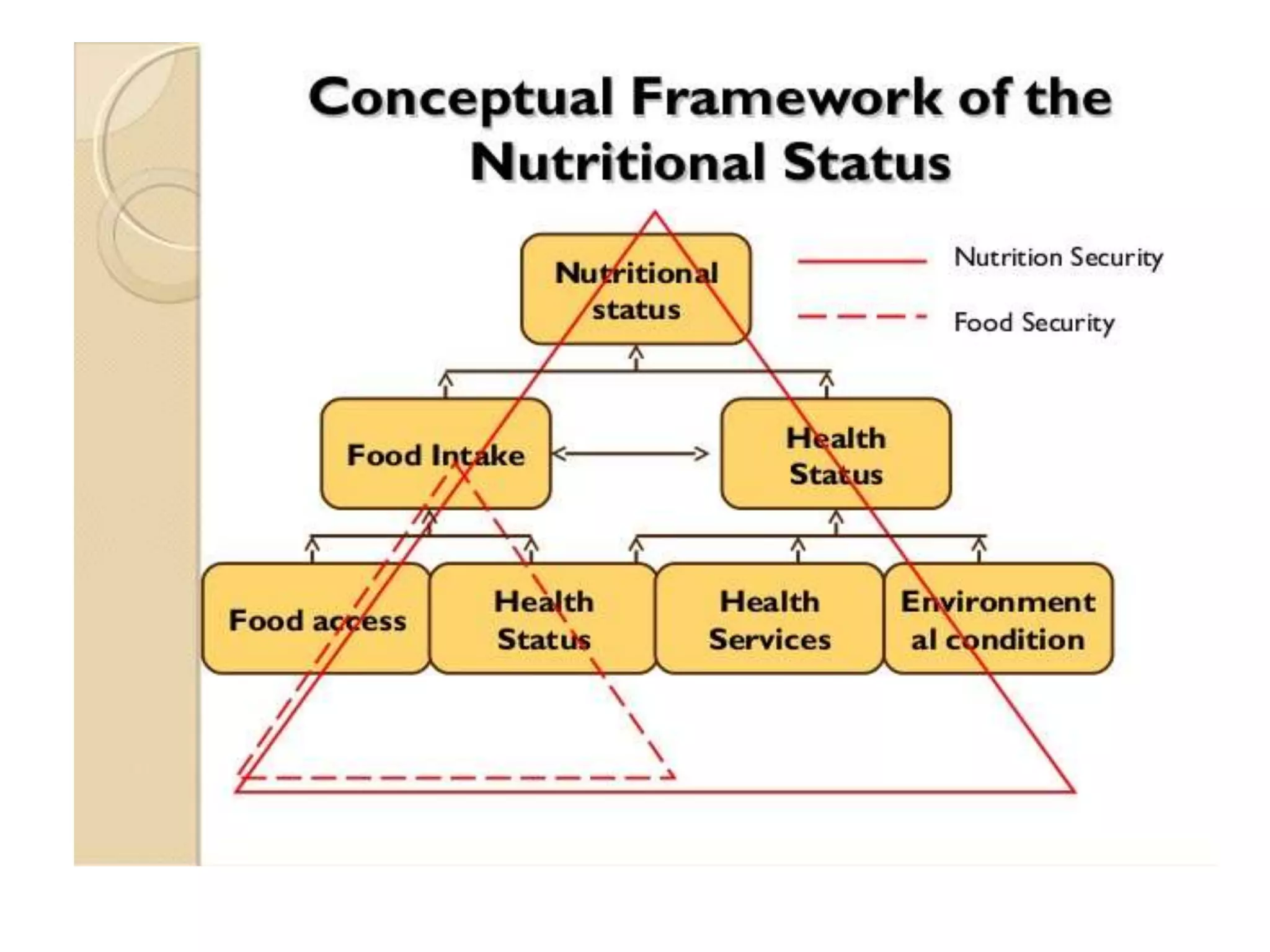 Four pillars of food security a lecture by Mr Allah Dad Khan | PPTX