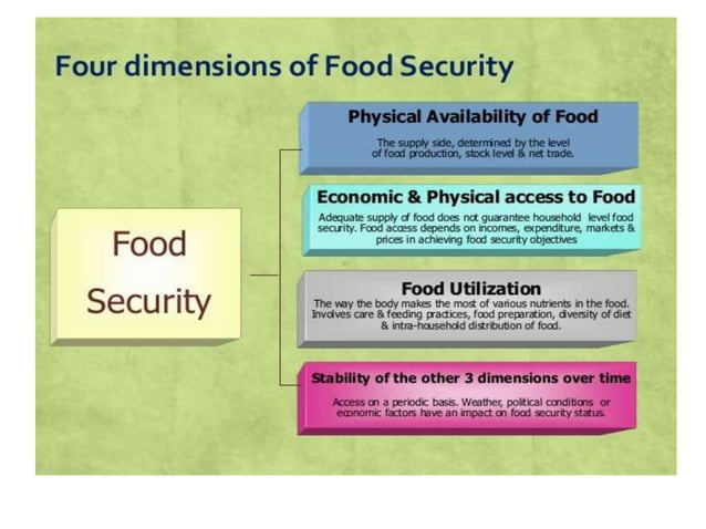 Four pillars of food security a lecture by Mr Allah Dad Khan | PPTX