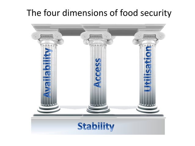 Four pillars of food security a lecture by Mr Allah Dad Khan