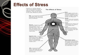 Four ps stress | PPTX