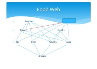 Four Square Writing Method | PPT
