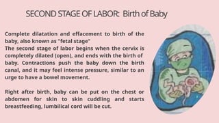 Four stages of labor_20241122_090702_0000.pptx
