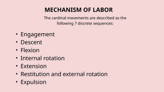 Four stages of labor_20241122_090702_0000.pptx
