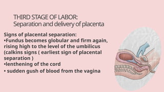 Four stages of labor_20241122_090702_0000.pptx