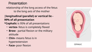 Four stages of labor_20241122_090702_0000.pptx
