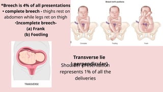 Four stages of labor_20241122_090702_0000.pptx