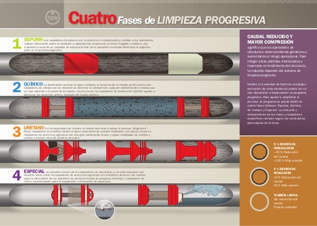 Cuatro Fases de LIMPIEZA PROGRESIVA Cuatro Fases de LIMPIEZA PROGRESIVA