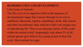 Comprehensive Overview of Reproduction and Development in Plants and ...