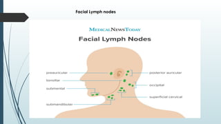 Health assessment Head .face .neck assessment | PPT