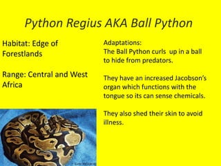 Fourth periodtotal | PPT