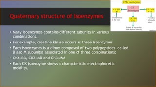 Enzymes in clinical diagnosis | PDF