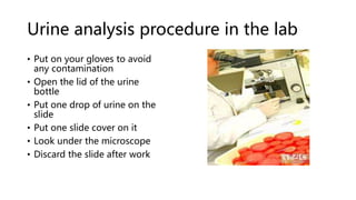 fourth section laboratory physiology.pptx
