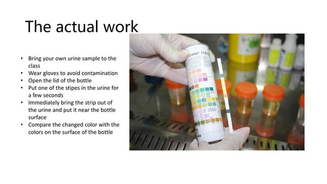 fourth section laboratory physiology.pptx