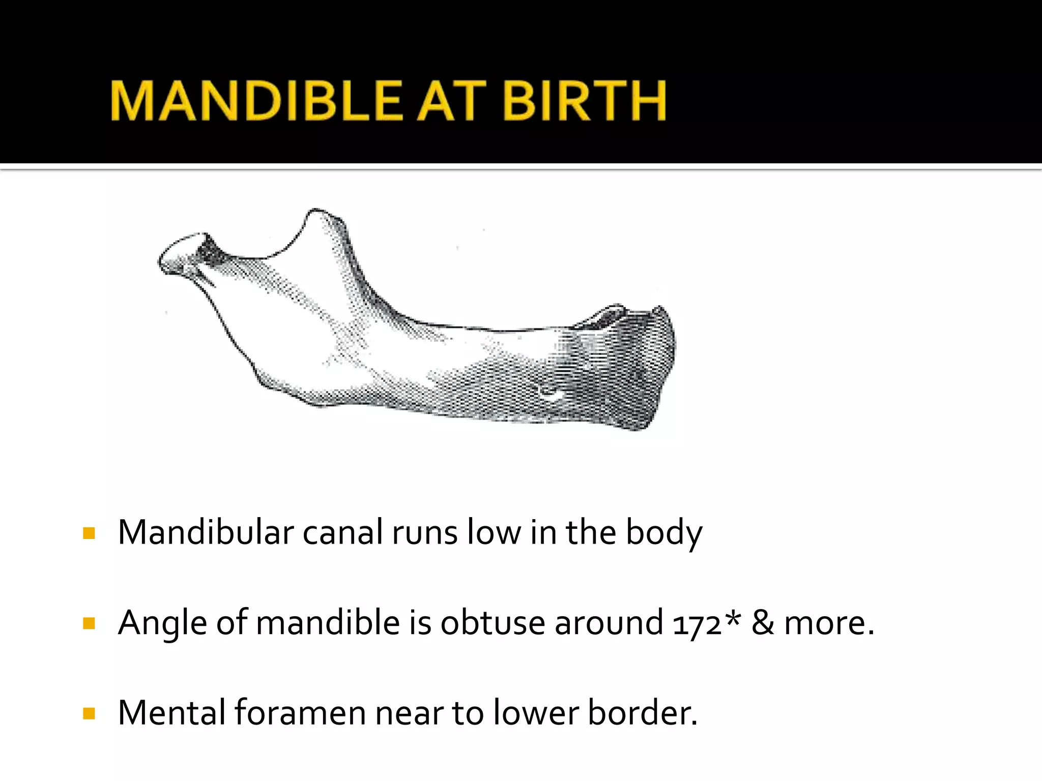 Fourth seminar mandible | PPTX