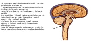 Fourth Ventricle anatomy ppt mbbs 1st year | PDF