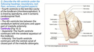 Fourth Ventricle anatomy ppt mbbs 1st year | PDF