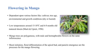 Fowering behaviour of horticultural plants and unfruitfulness.pptx