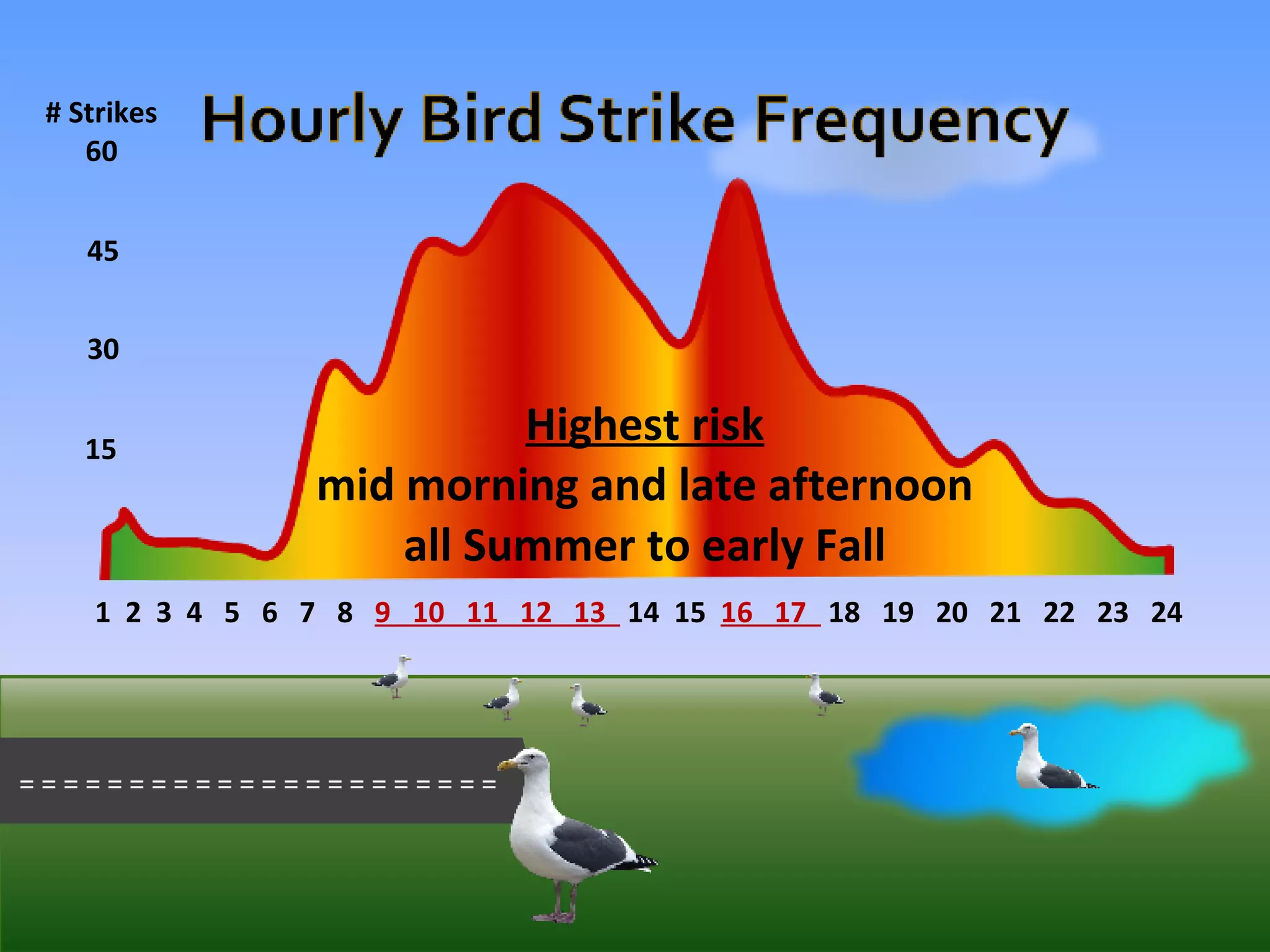Fowl Weather - Avoiding Bird Strikes | PPT