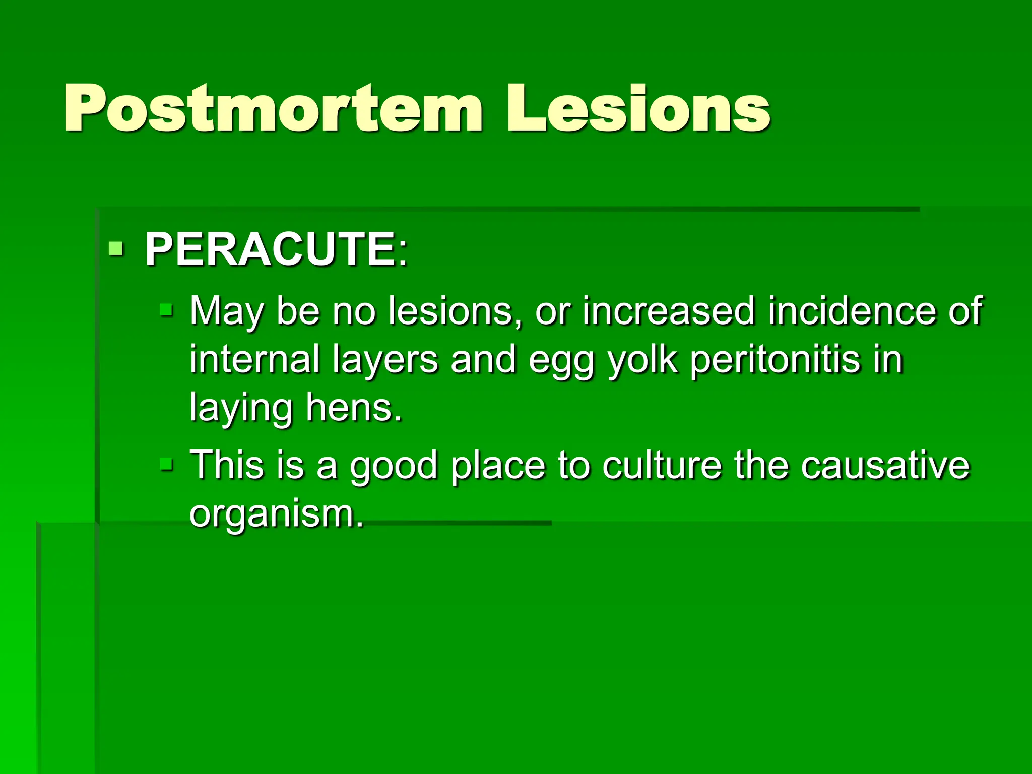 Fowl Cholera is acute infectious disease | PPT