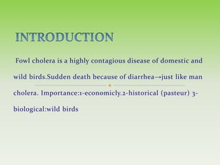 Fowl cholera. clinical signs,diagnosis, treatment, vaccination and ...
