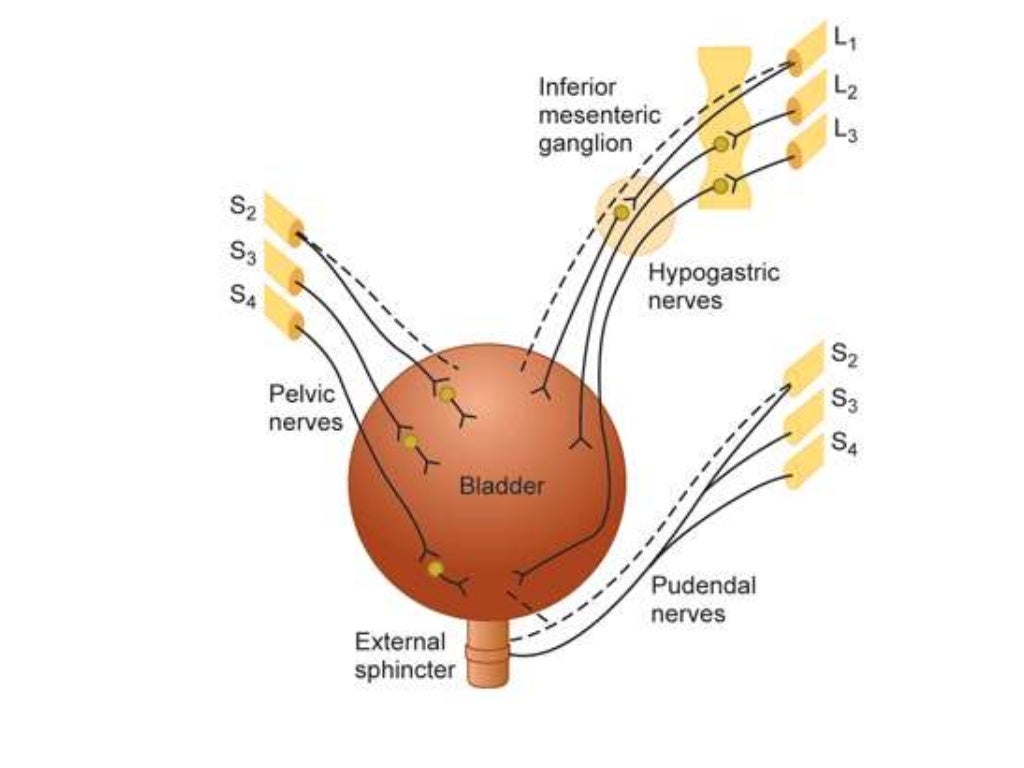 Fowler’s syndrome