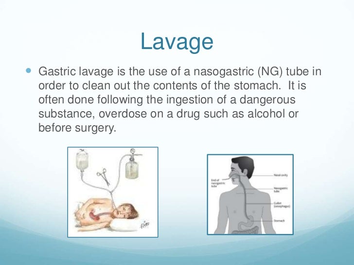 Fowlkesdigestivesystem