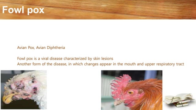 Fowl pox | PPTX | Infectious Diseases | Diseases and Conditions