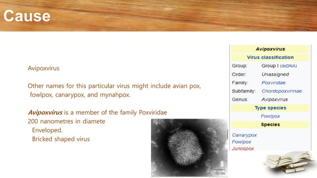 Fowl pox | PPTX | Infectious Diseases | Diseases and Conditions