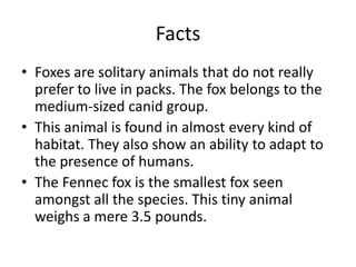 Fox | PPT