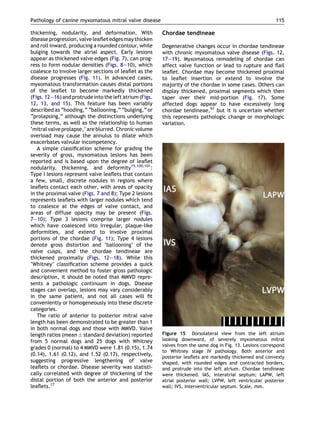fox2012 (1).pdf