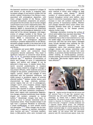 fox2012 (1).pdf
